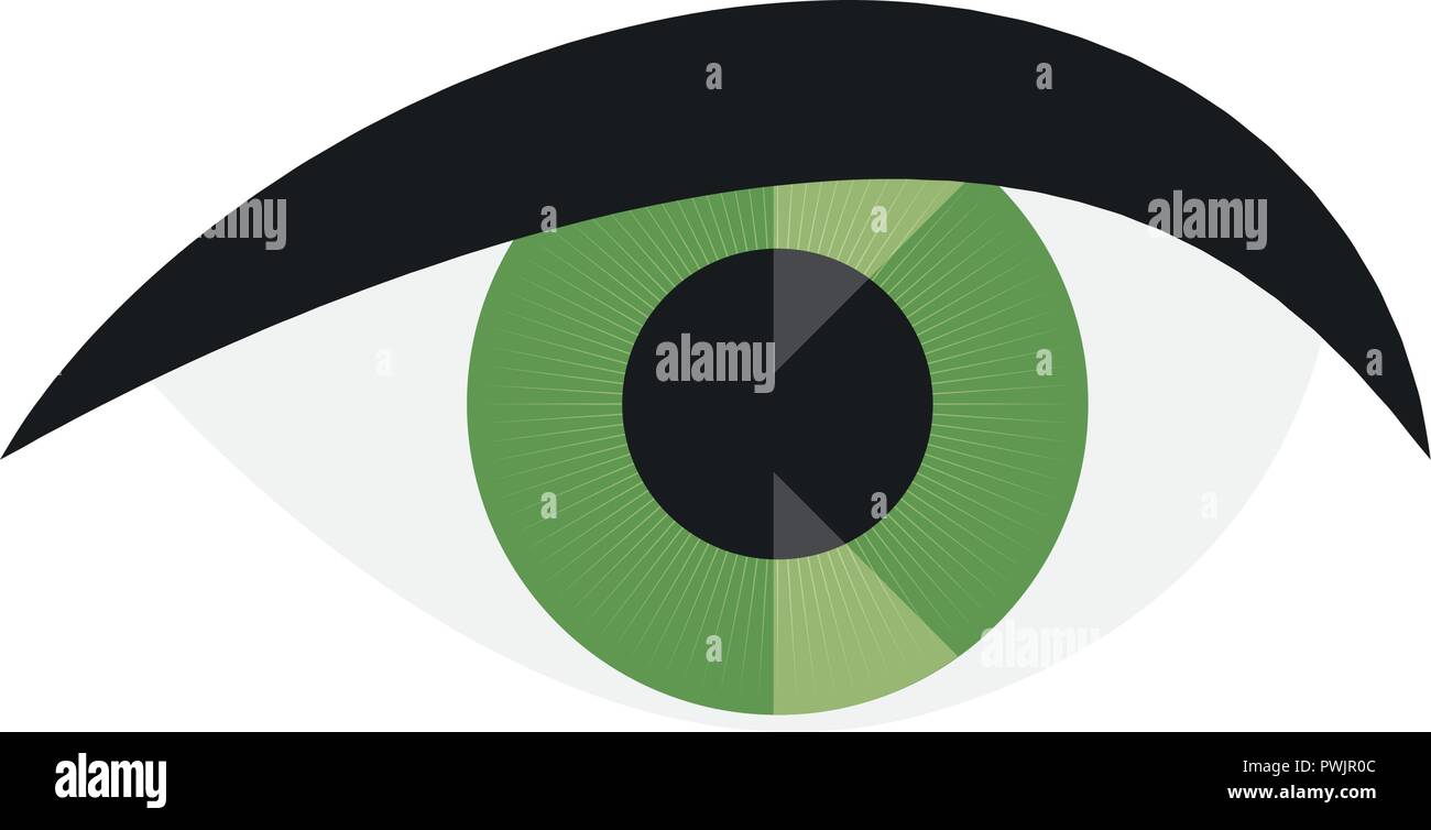 human eye isometric on white background vector illustration Stock ...