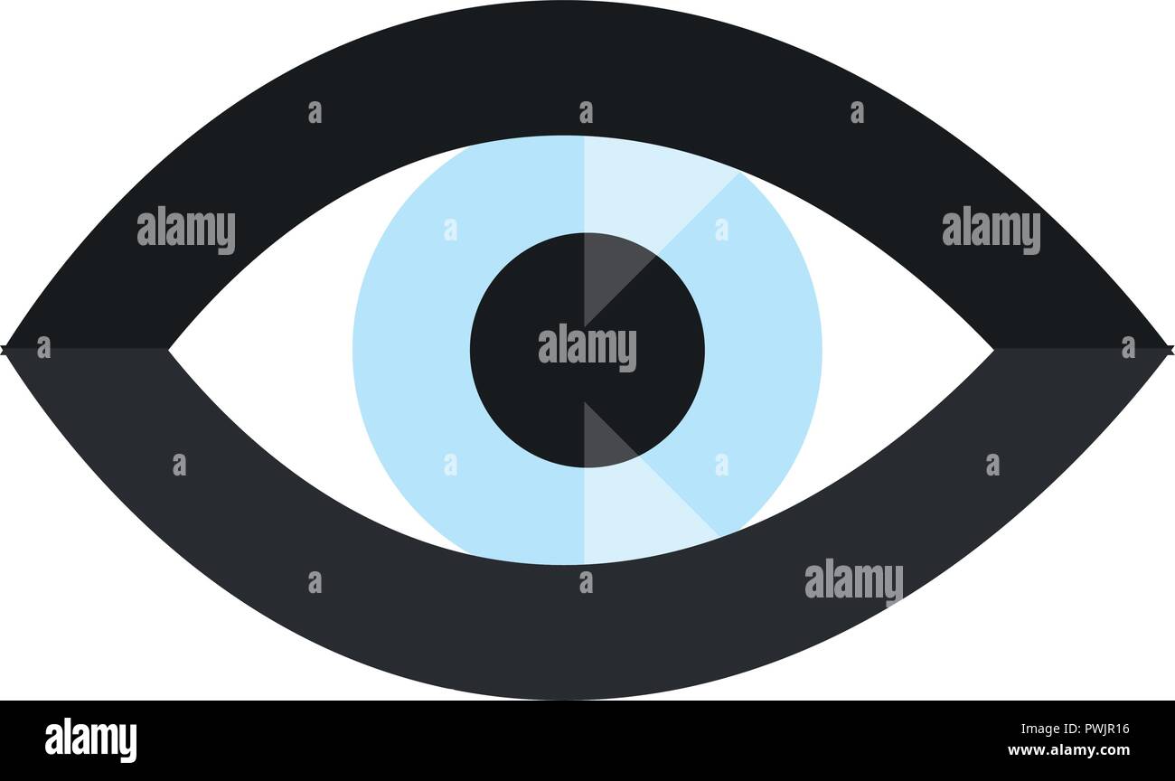 human eye isometric on white background vector illustration Stock ...