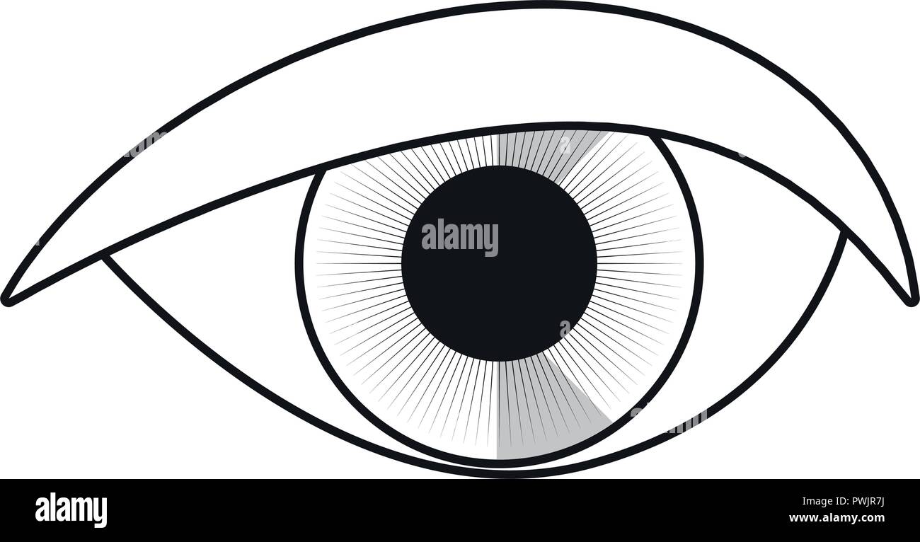 human eye isometric on white background vector illustration Stock ...
