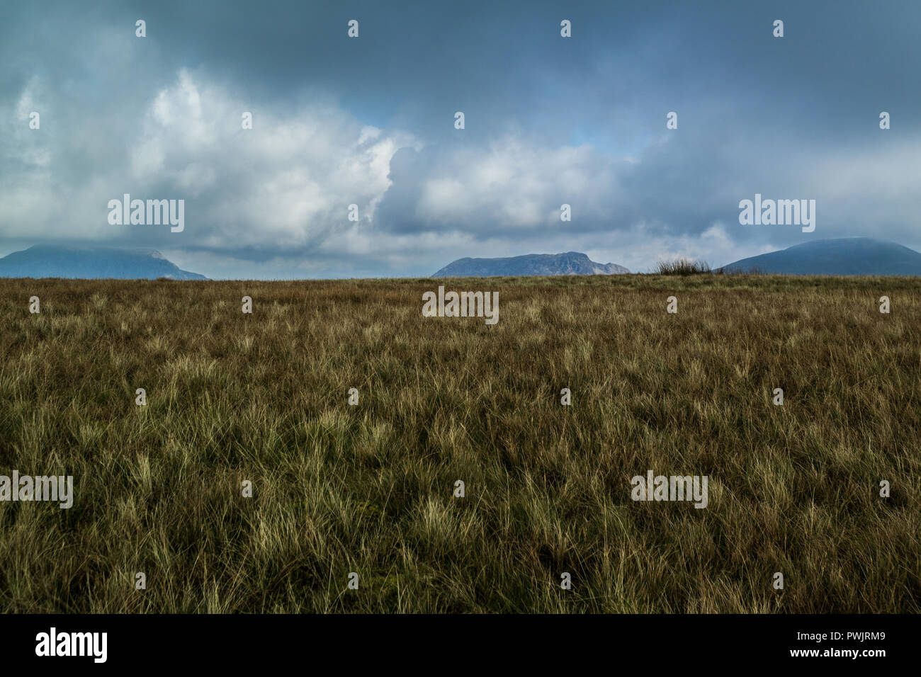 Roman steps north of rhinog fawr hi-res stock photography and images ...