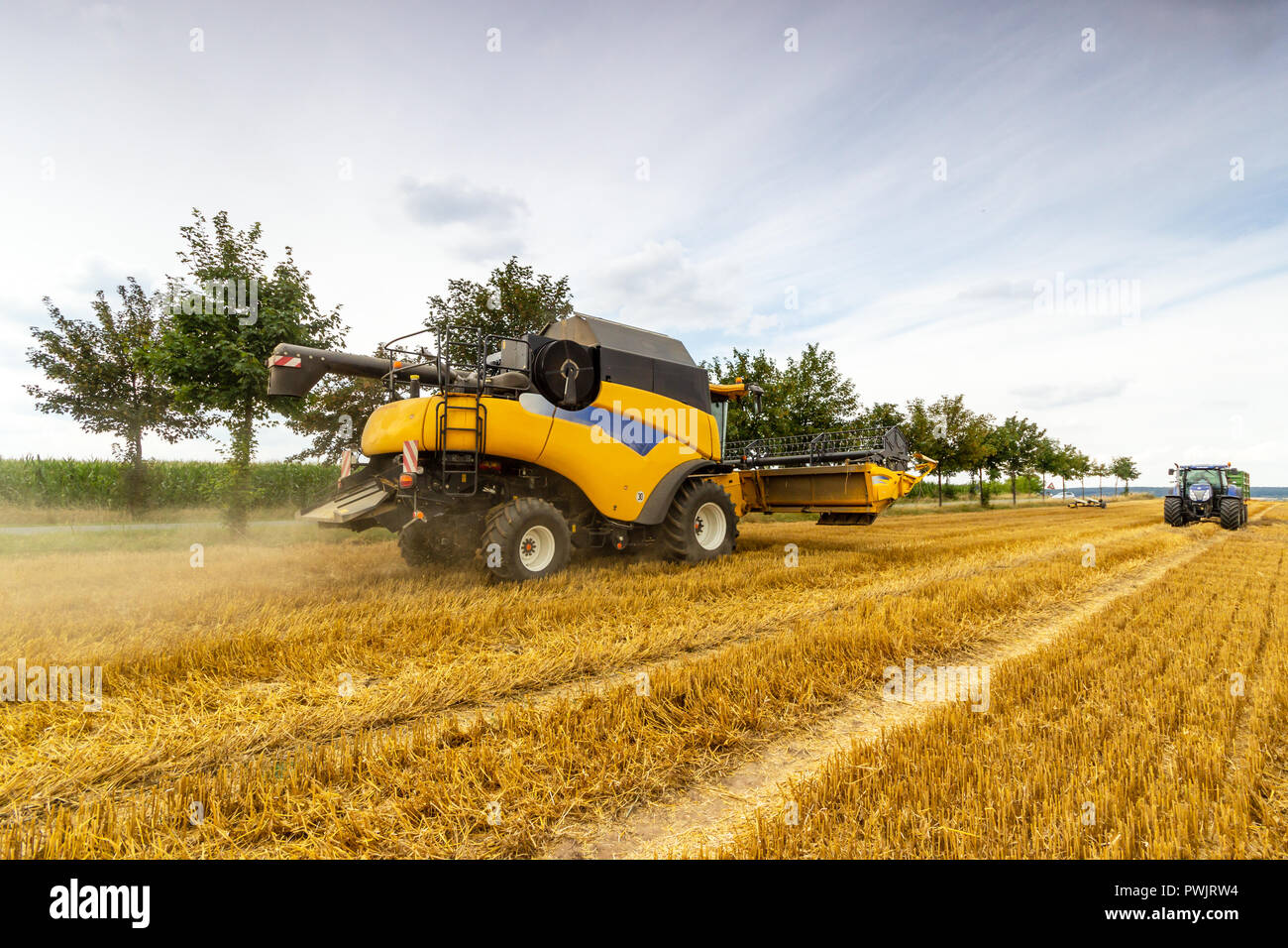 Big yellow combine harvester cuts the grain field. Agriculture in full ...