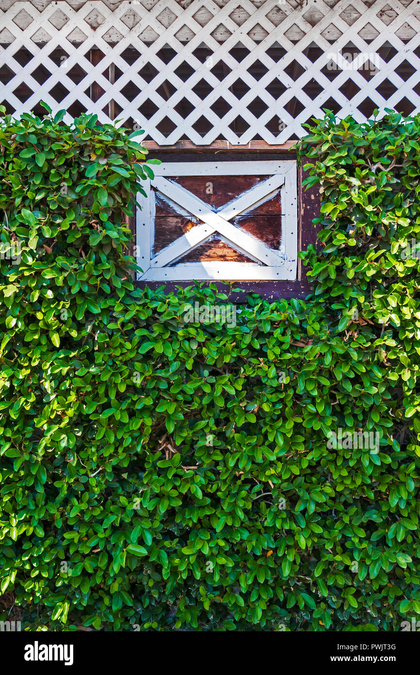 Old white barn window with lattice fence Stock Photo - Alamy