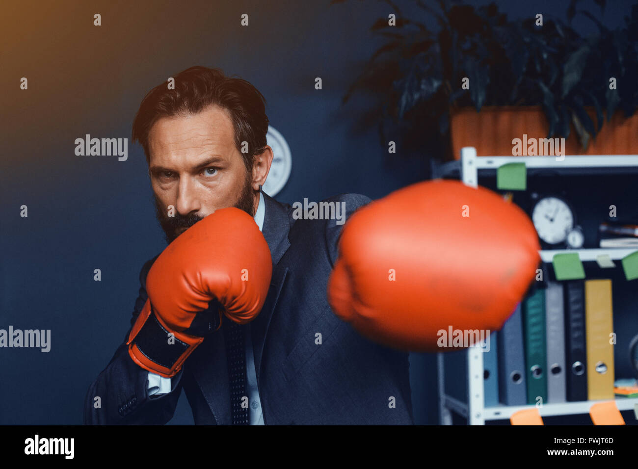 Ready to fight for success Stock Photo - Alamy