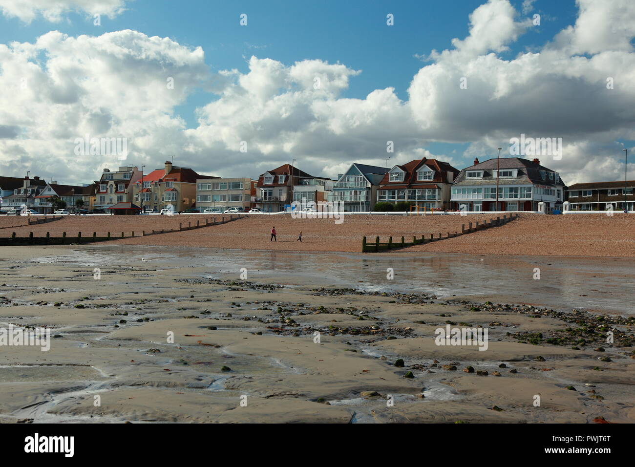Bognor Regis is a famous seaside resort in the Arun district of West ...