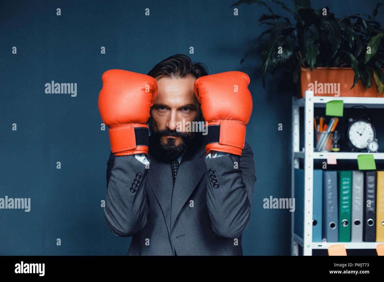 Ready to fight for success Stock Photo - Alamy