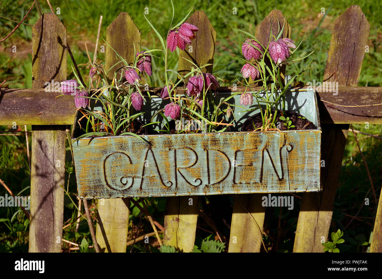 vintage garden decoration with spring flowers Stock Photo - Alamy