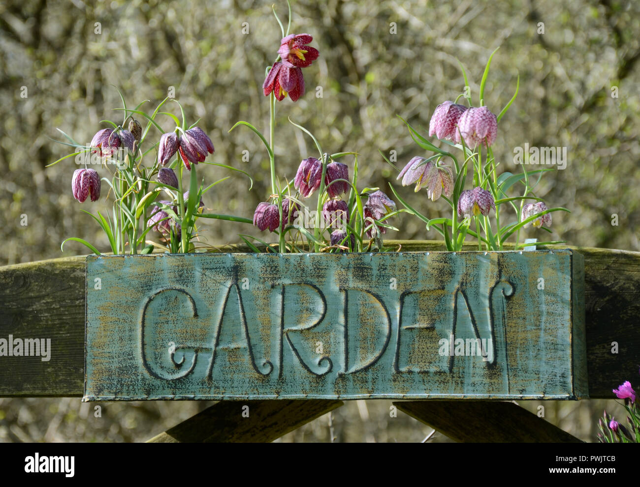 vintage garden decoration with spring flowers Stock Photo - Alamy