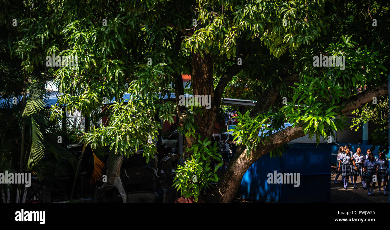 courtyard at guatemalan college Stock Photo - Alamy