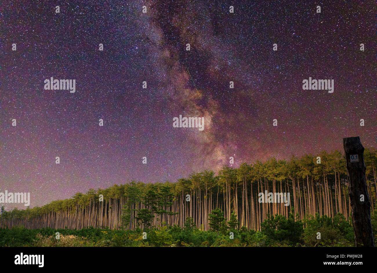 Milky Way galaxy rises over the forest in summer time Stock Photo - Alamy