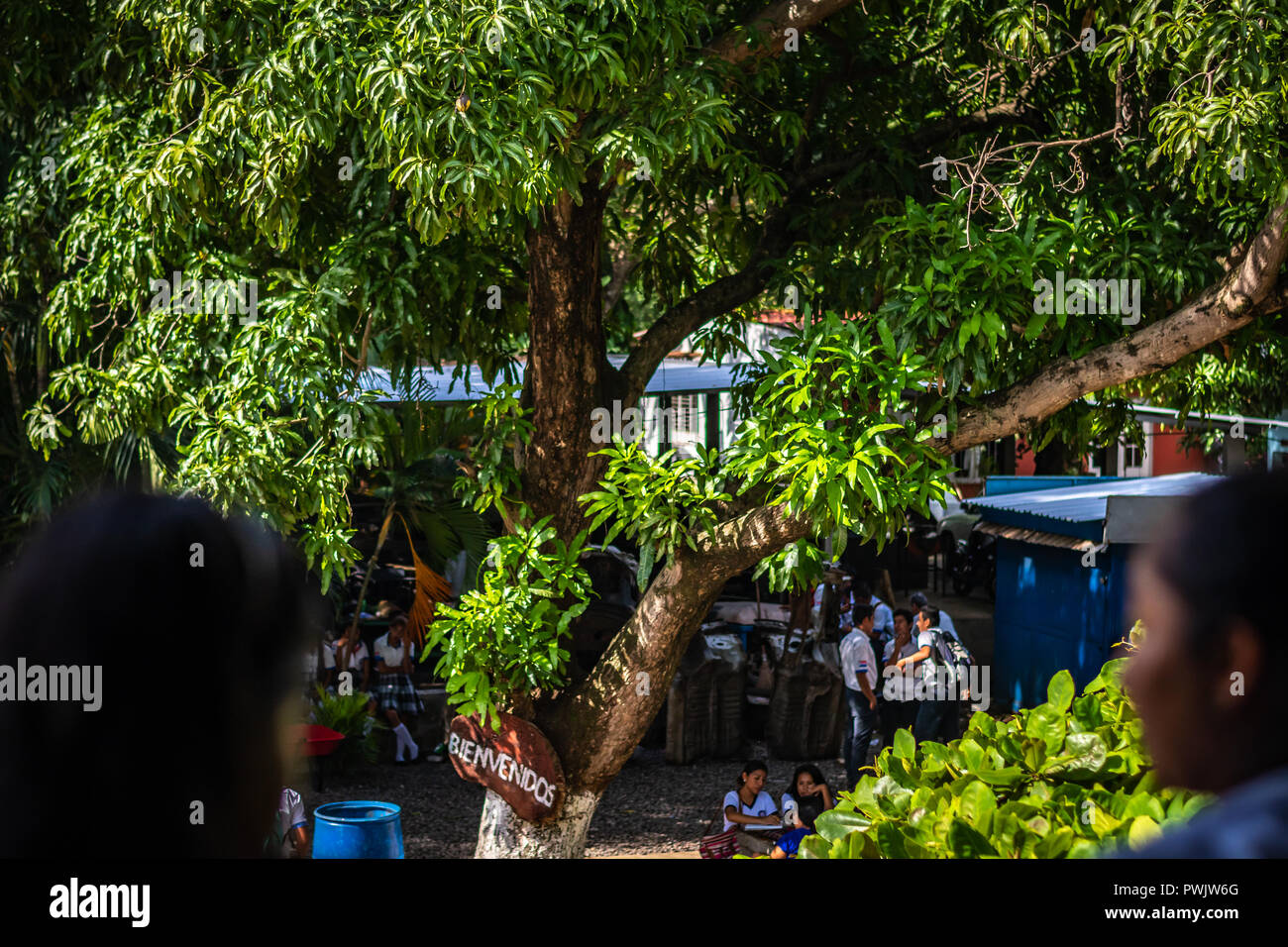 courtyard at guatemalan college Stock Photo - Alamy