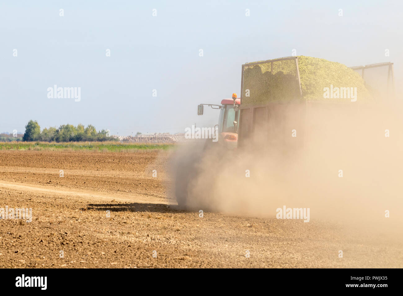 Tractor with silage on field road, Agriculture Stock Photo - Alamy