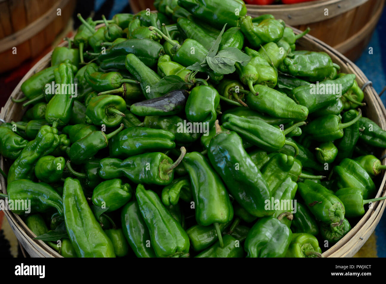 Agriculture chile hi-res stock photography and images - Alamy