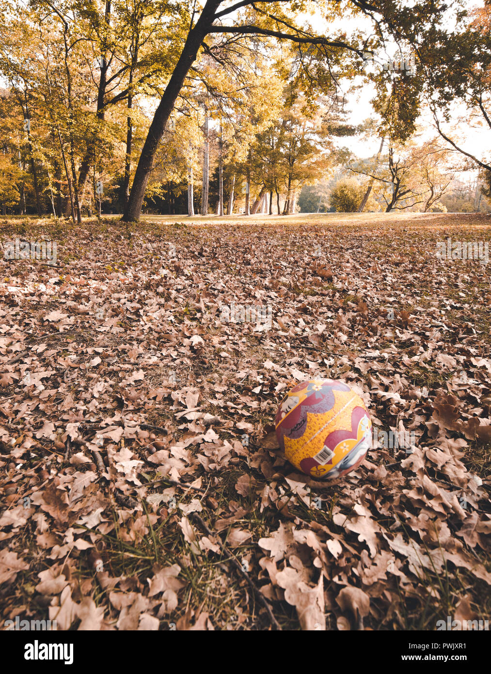 Mud Football Pitch High Resolution Stock Photography and Images - Alamy