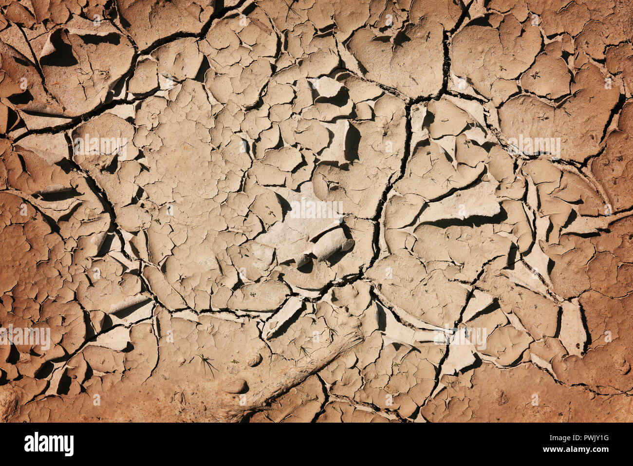 cracked earth texture Stock Photo - Alamy