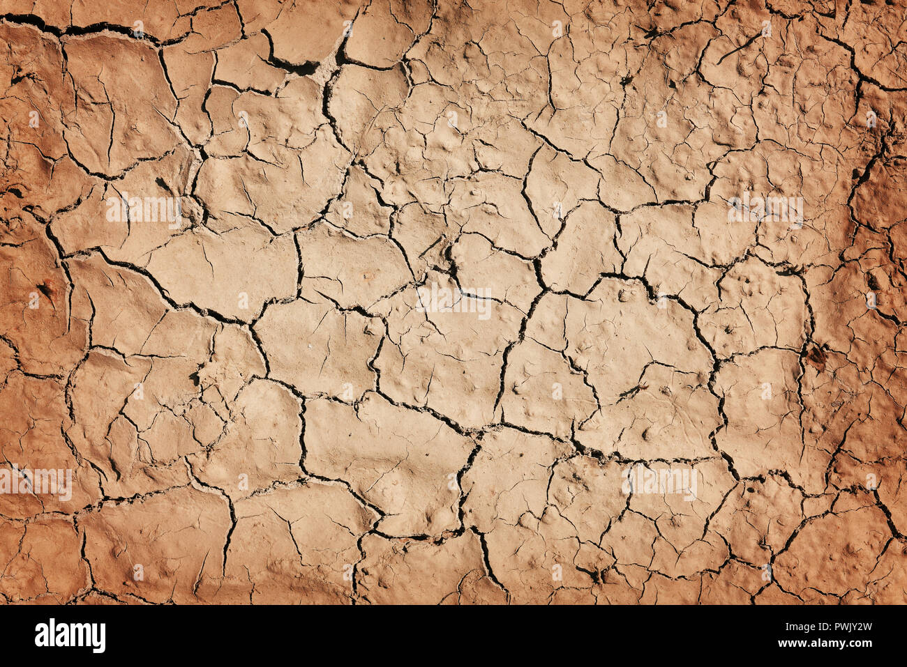 cracked earth texture Stock Photo - Alamy