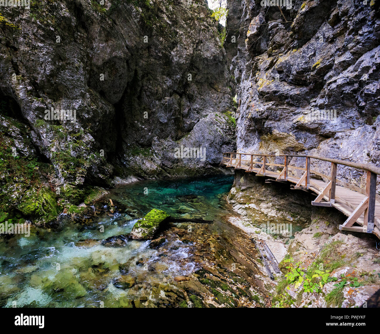 Vintgar gorge, Slovenia - The famous Vintgar gorge Canyon with wooden ...