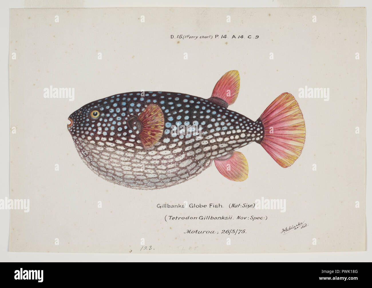 Frank edward clarke hi-res stock photography and images - Alamy