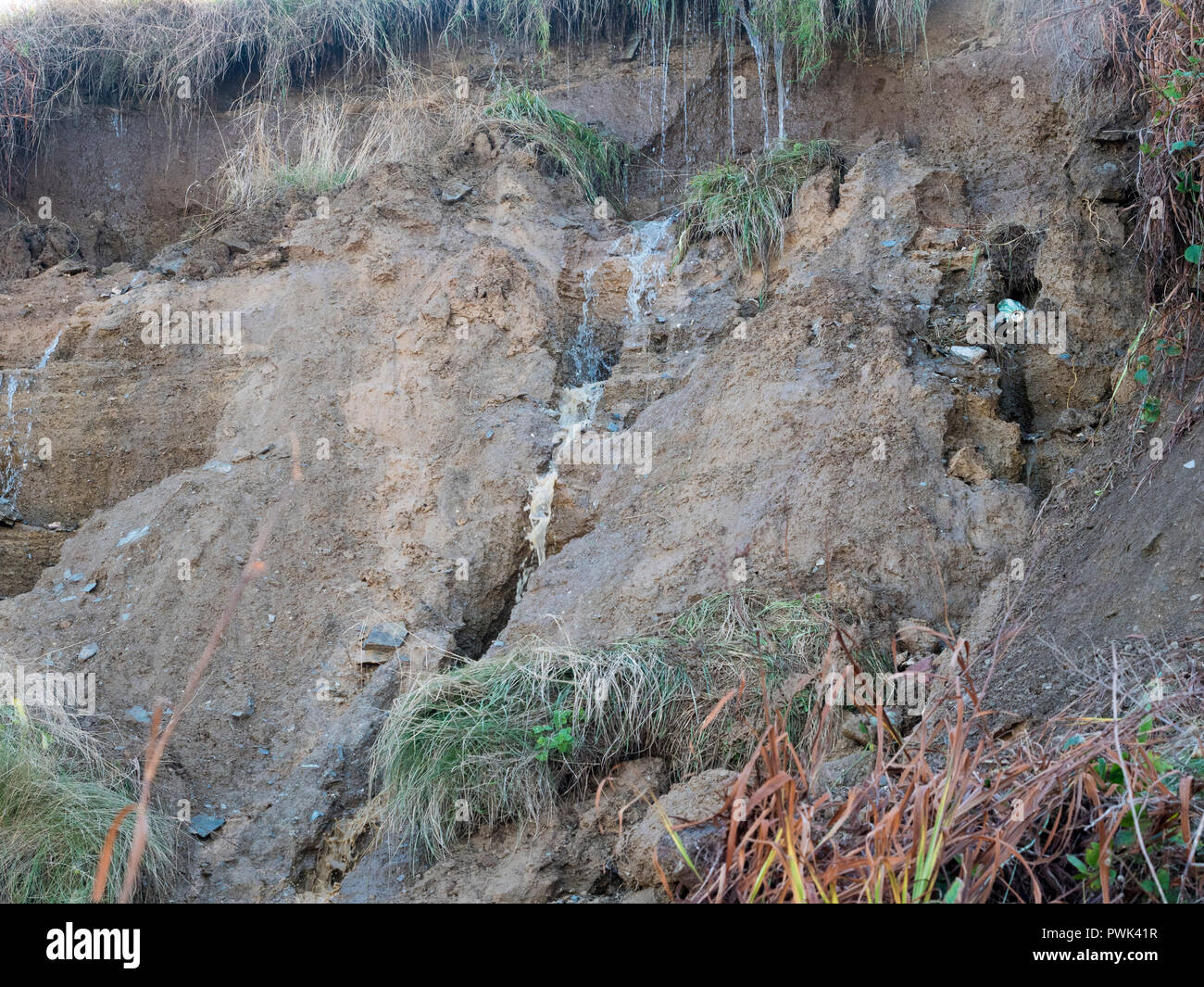 Sea pollution surfers hi-res stock photography and images - Alamy