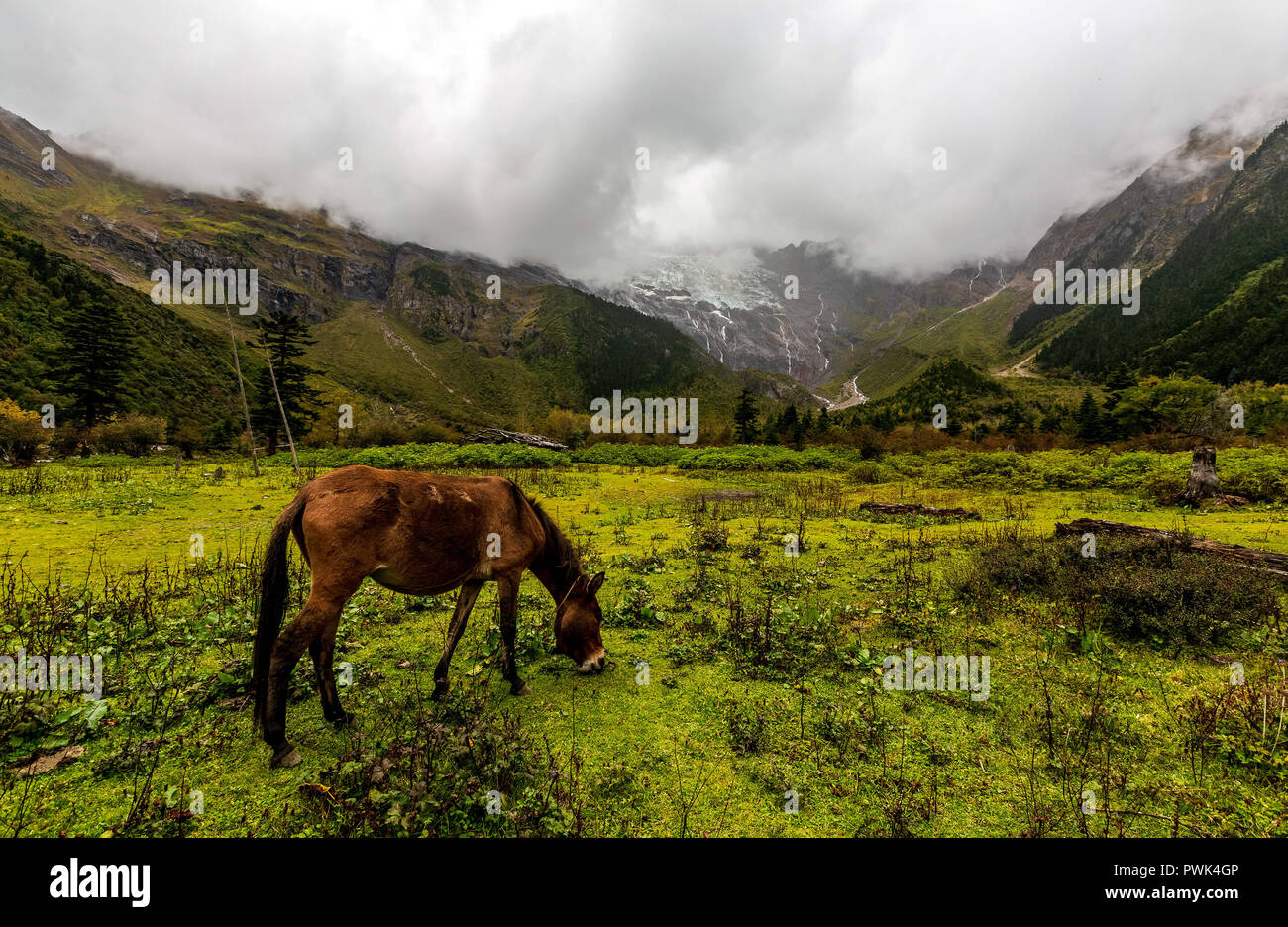 Yunnan, Yunnan, China. 16th Oct, 2018. Yunnan, CHINA-Meri Snow Mountain ...