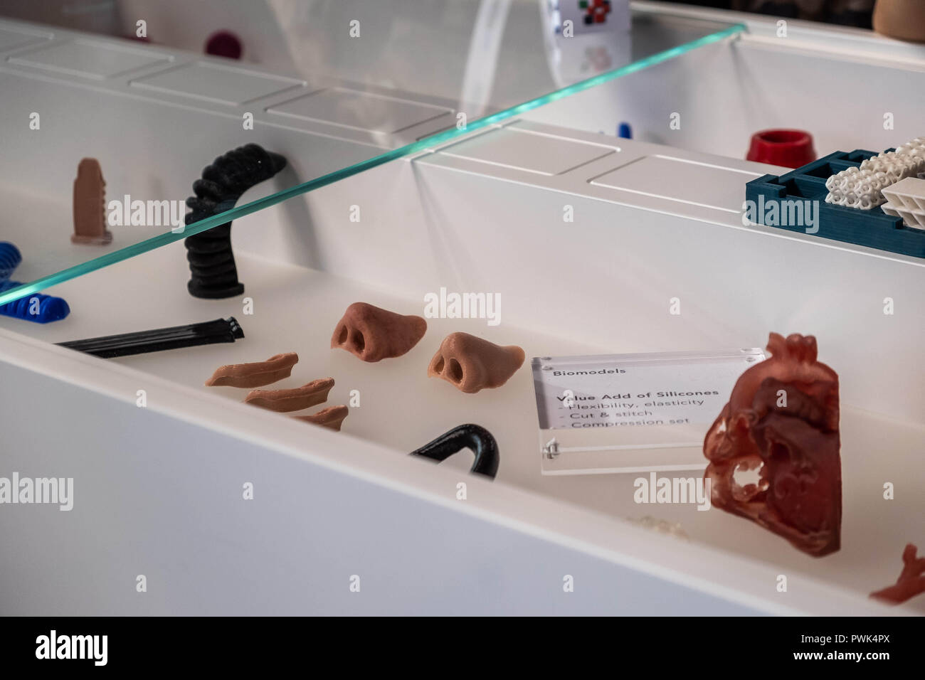 Anatomical models hi-res stock photography and images - Alamy