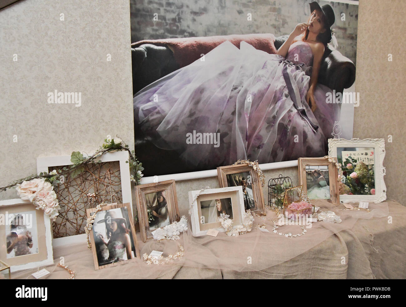 Nicole fujita hi-res stock photography and images - Alamy