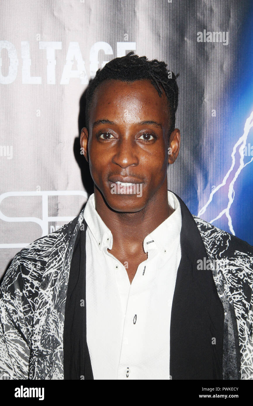 Shaka Smith 10/16/2018 The Los Angeles premiere of "High Voltage" held ...
