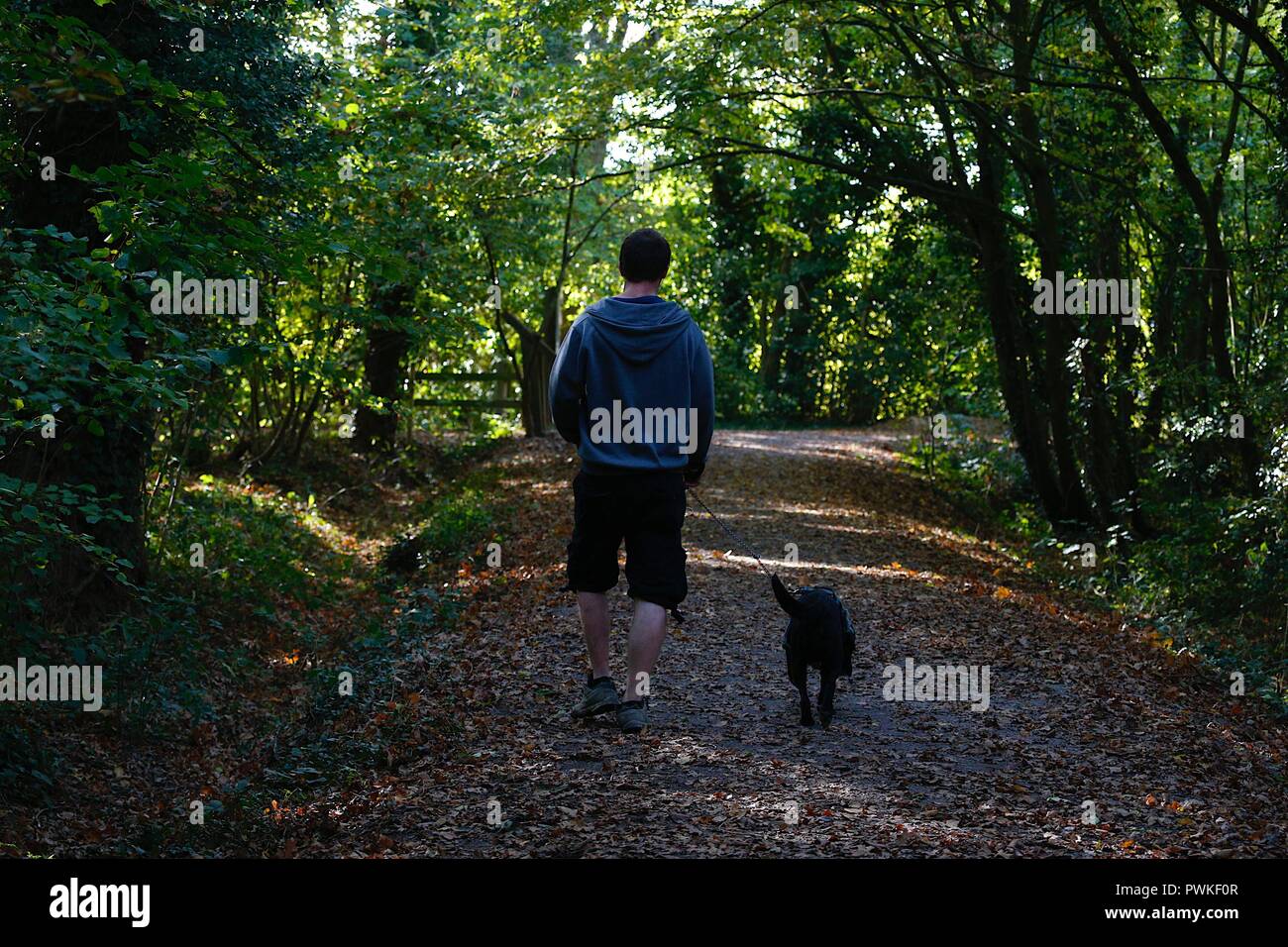 Hamstreet hi-res stock photography and images - Alamy