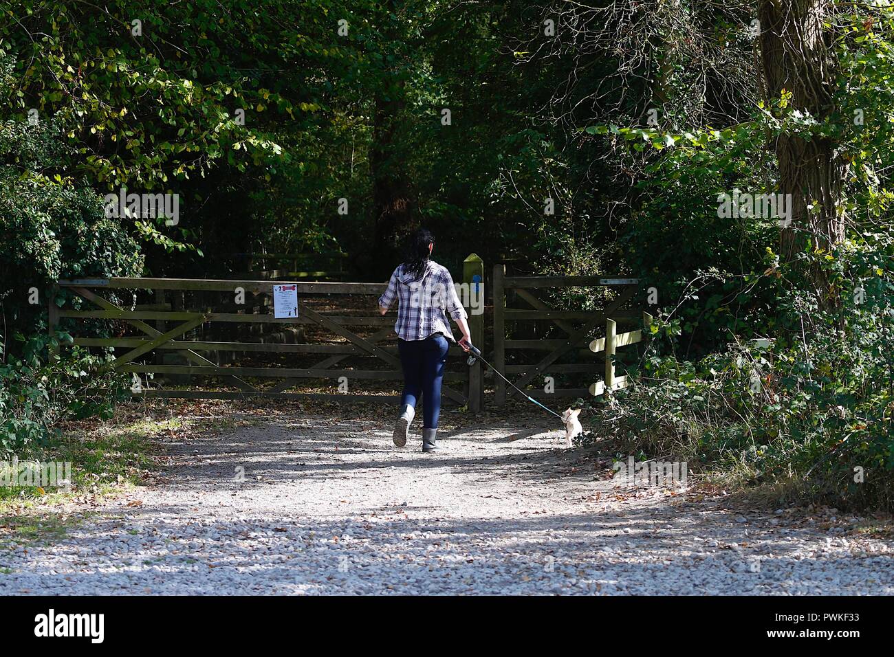 Hamstreet hi-res stock photography and images - Alamy