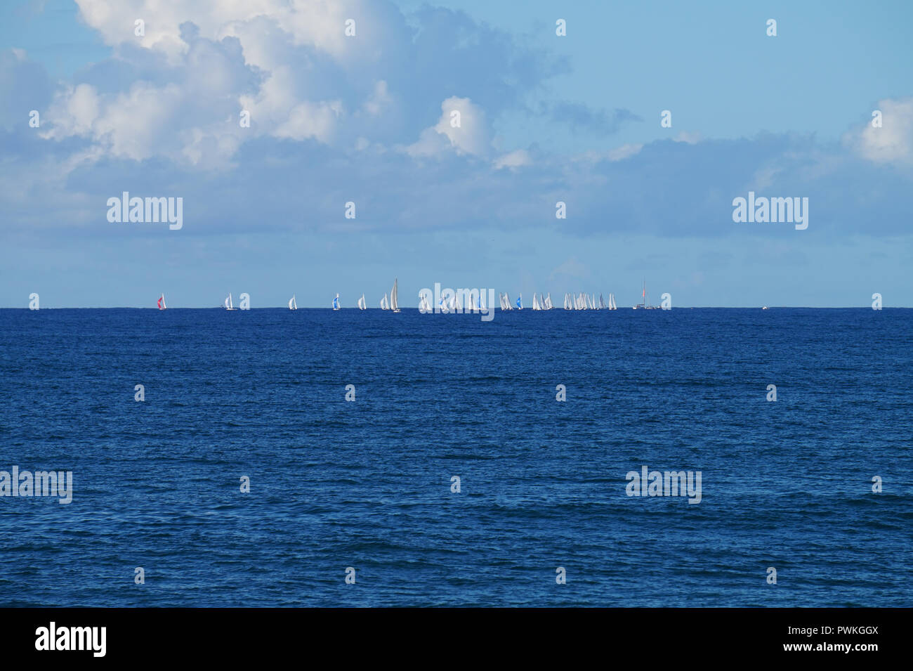 Sailing yachts horizon hi-res stock photography and images - Alamy