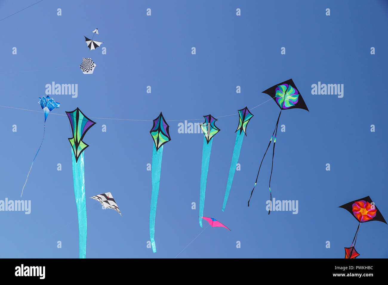 big colorful kite flies high in the sky . Beautiful kites in a kite ...