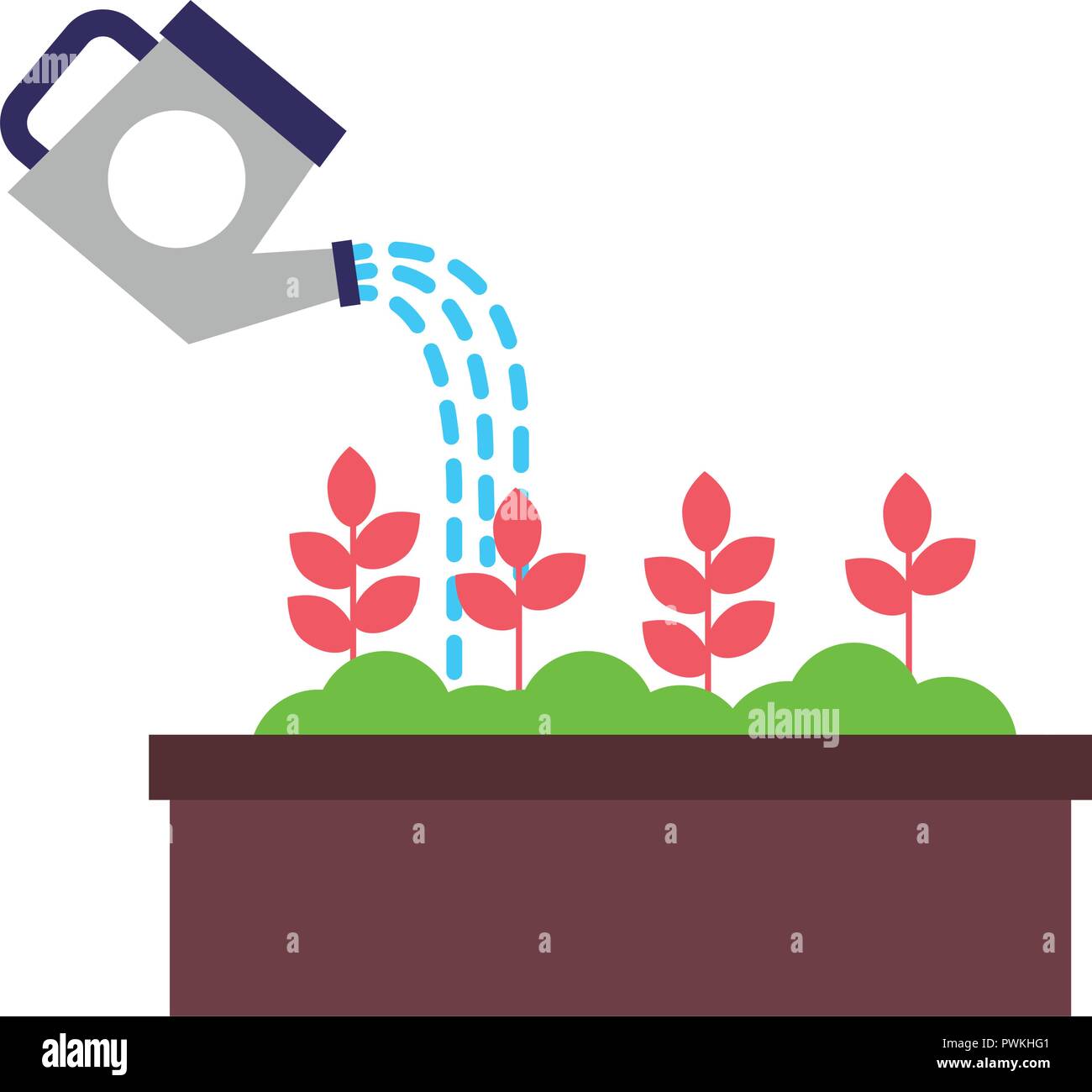 watering can pouring water flowers in pot vector illustration Stock ...