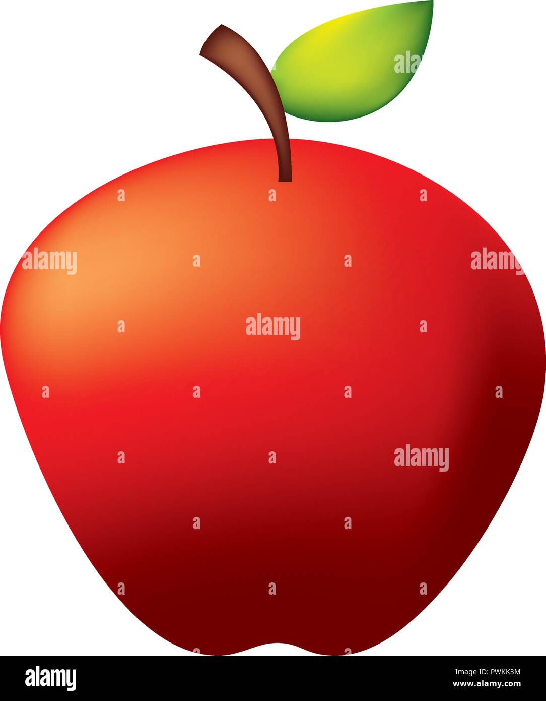 fresh organic apple on white background vector illustration Stock ...