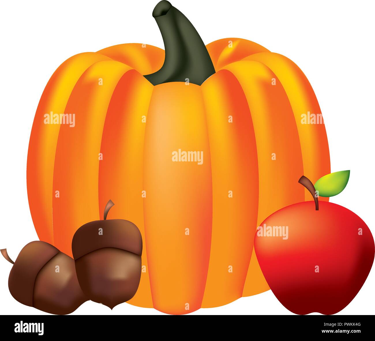 pumpkin acorn and apple fresh vector illustration Stock Vector Image ...
