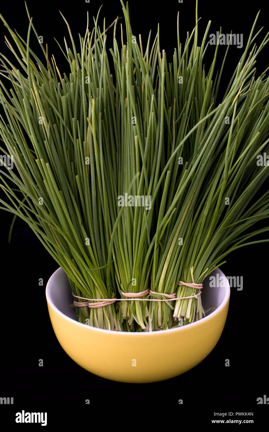Pack of chives against a black background Stock Photo - Alamy