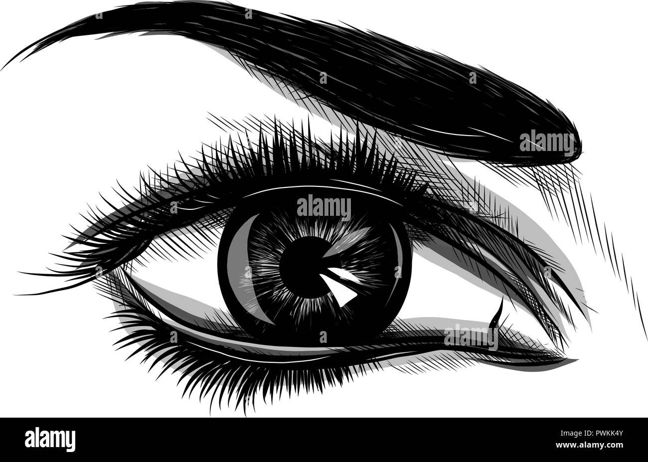 Eye on white background. Woman eye. The eye logo. Eyes art. Human face ...