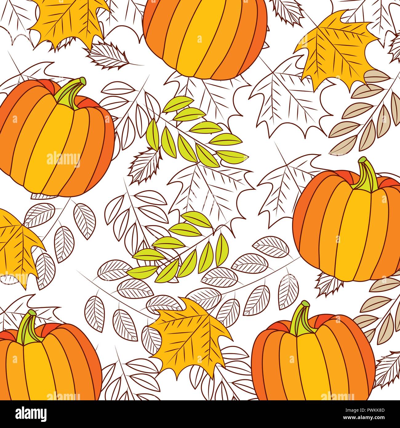 Small squash Stock Vector Images - Alamy