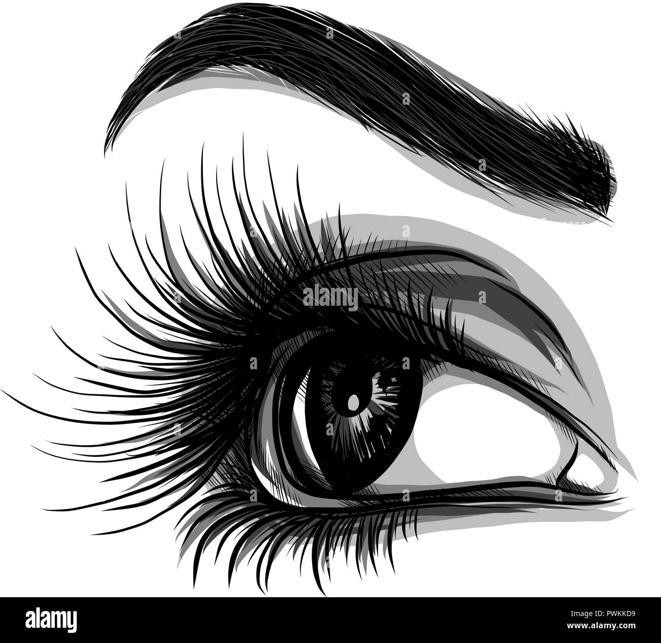 Eye on white background. Woman eye. The eye logo. Eyes art. Human face ...