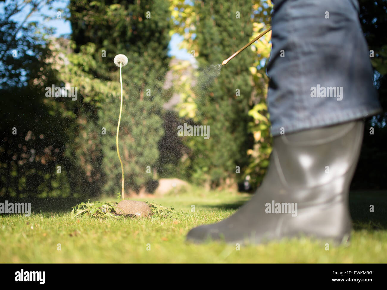 Spraying weeds hi-res stock photography and images - Alamy