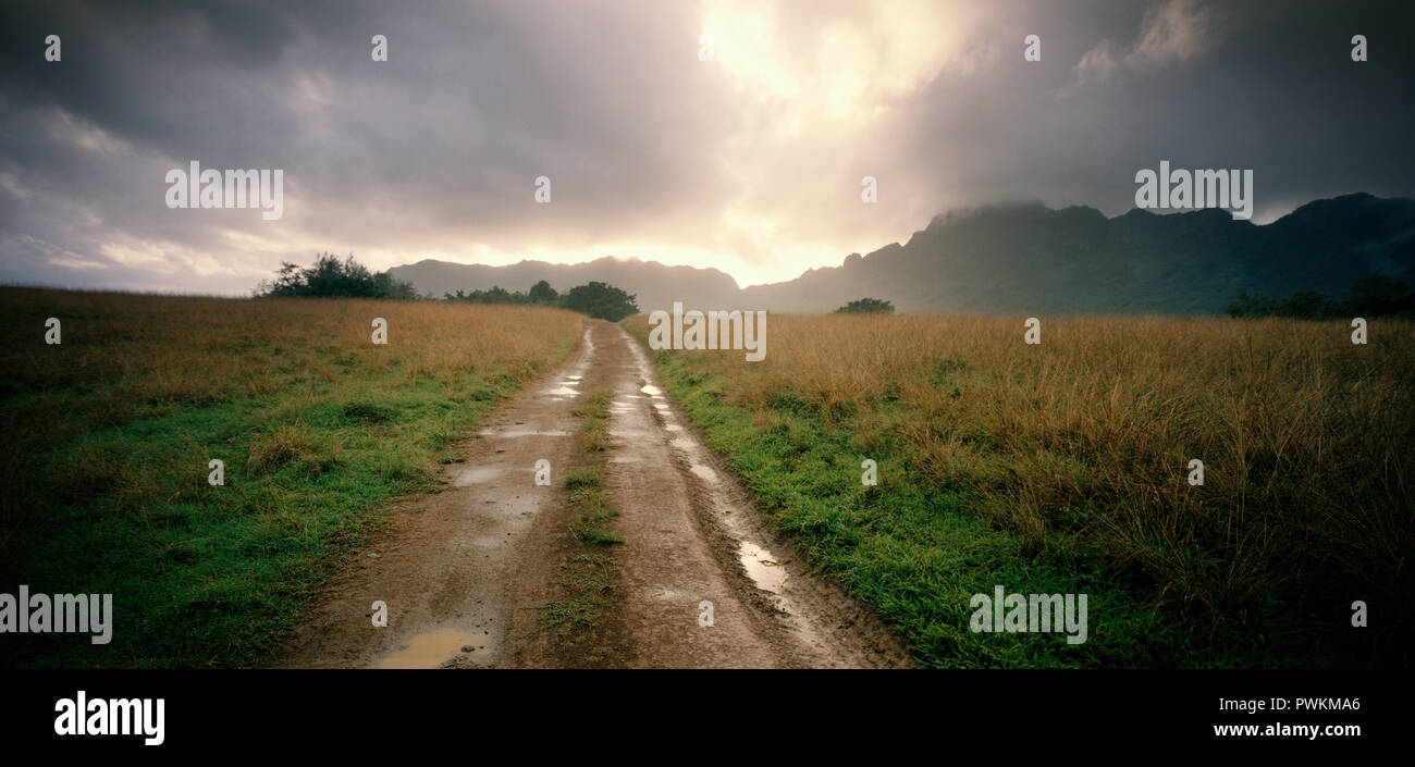 Traveling through scenic roads view hi-res stock photography and images ...