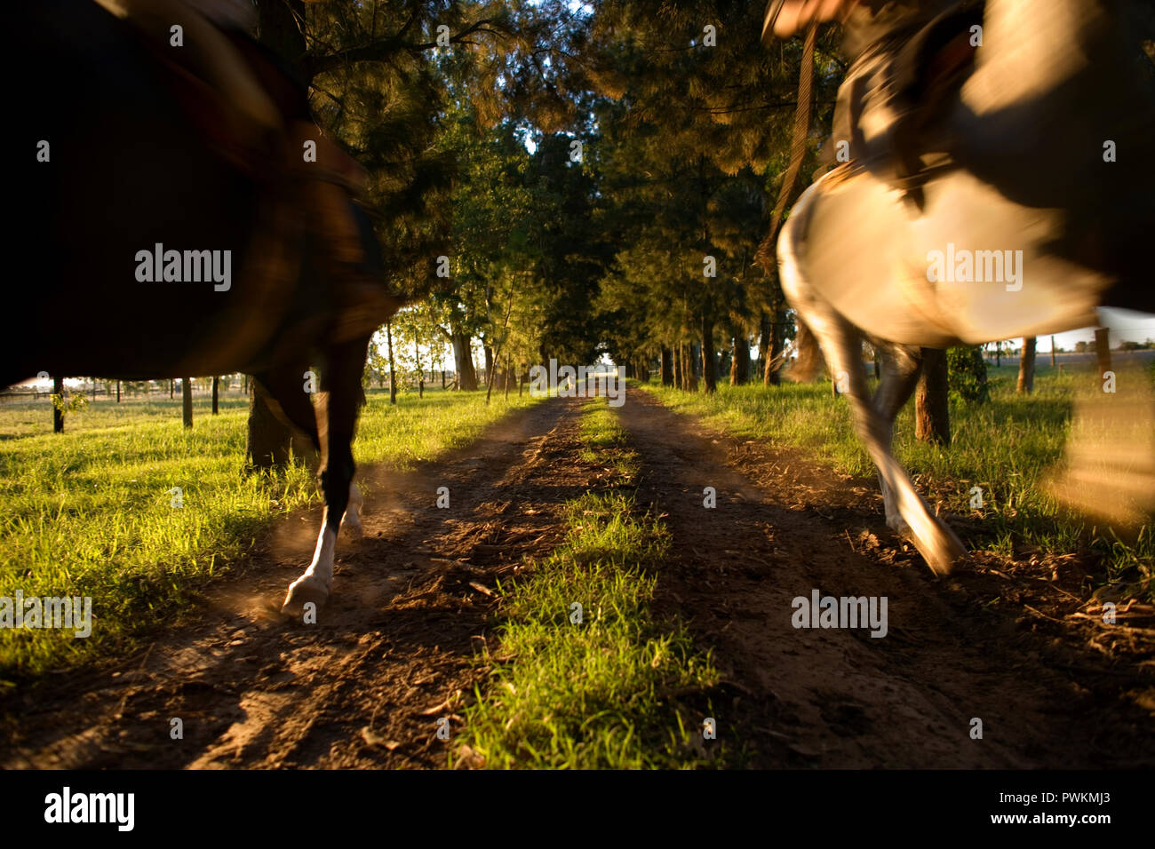 Dirt track horse hi-res stock photography and images - Alamy