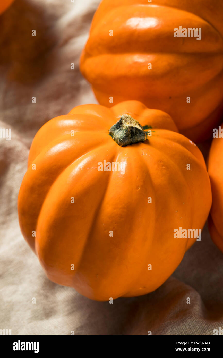 Raw Organic Golden Acorn Squash Ready to Cook Stock Photo - Alamy