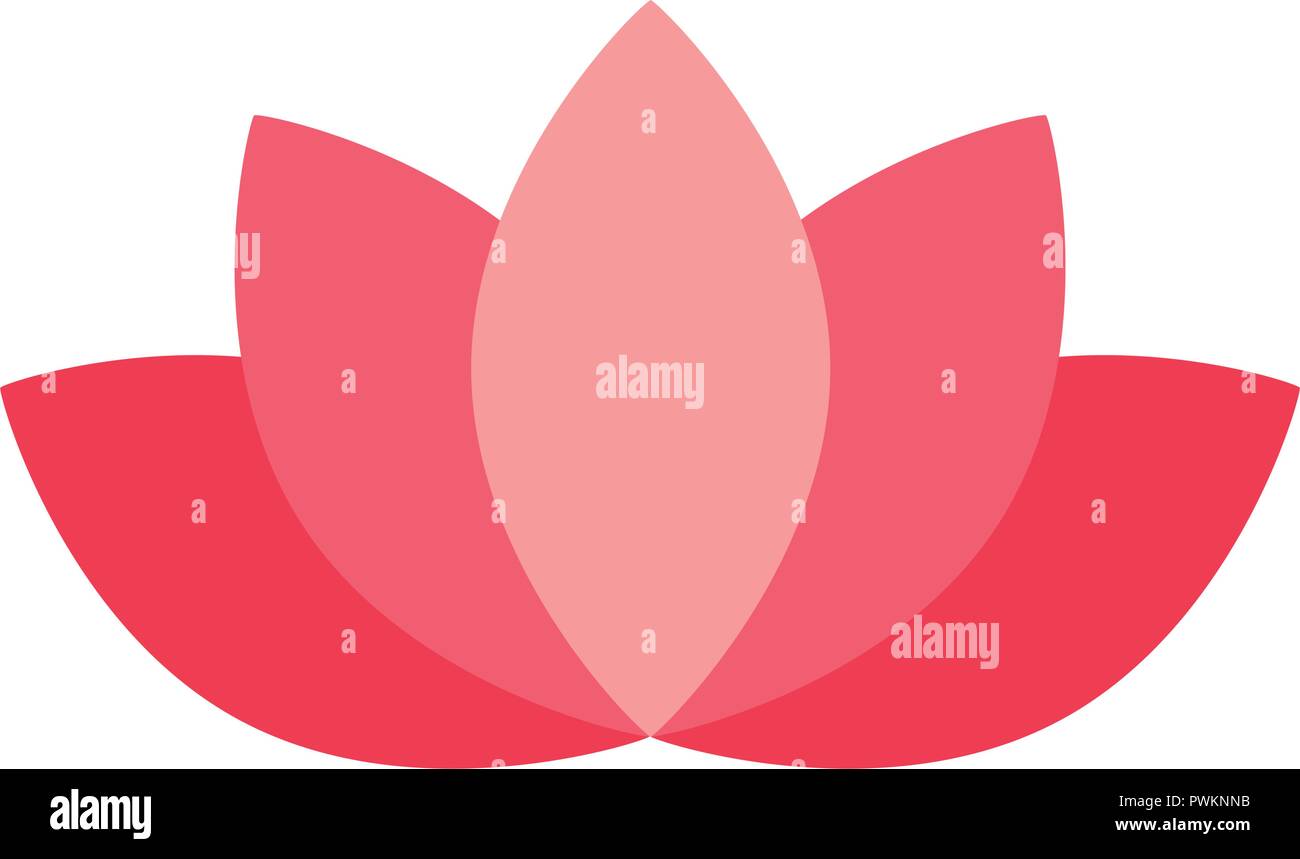 lotus flower decoration on white background vector illustration Stock ...