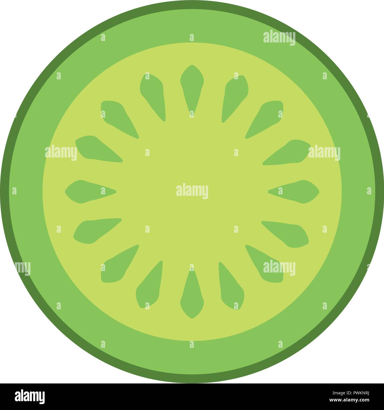 cucumber slice fresh on white background vector illustration Stock ...