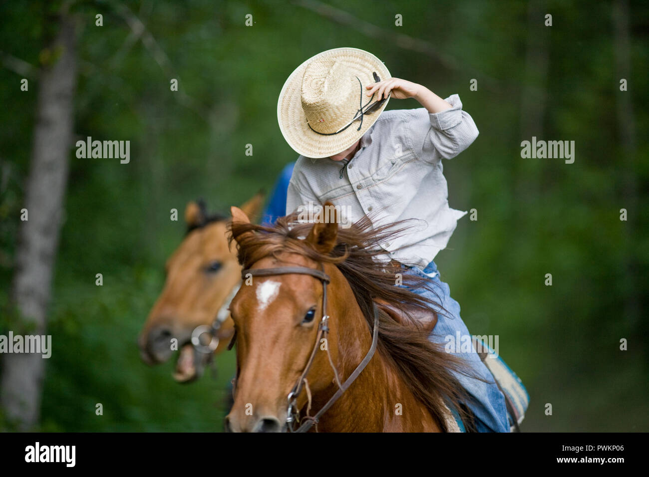 Boy galloping on horse Stock Photo - Alamy