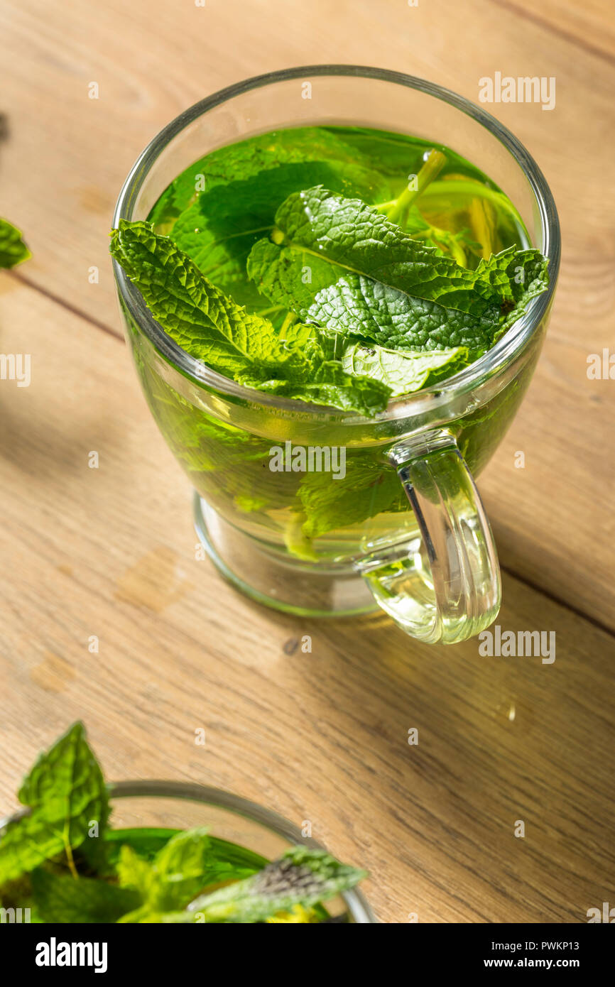 Homemade Hot Fresh Mint Tea in a Mug Stock Photo - Alamy