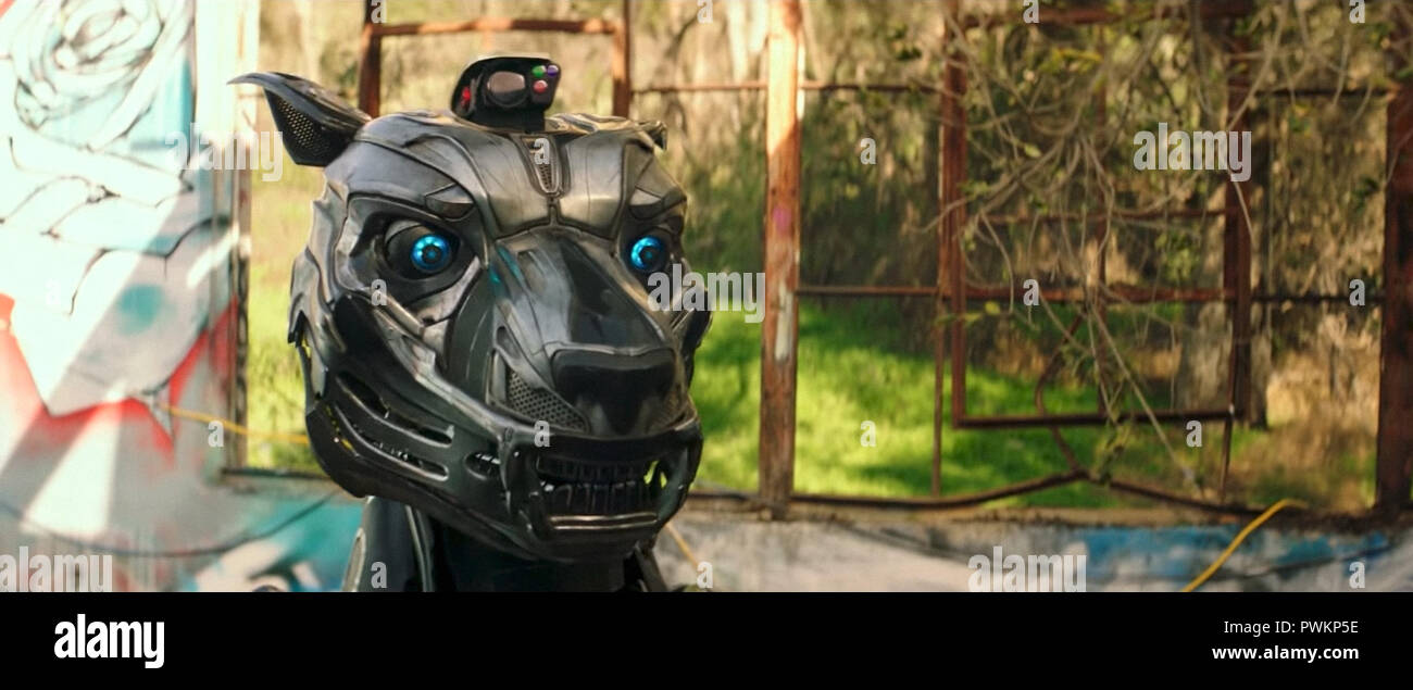 A.X.L., (aka A-X-L), Dorian Kingi as AXL, 2018. © Global Road ...