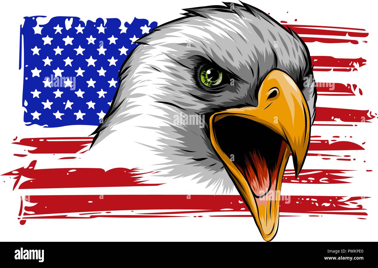 American Eagle Flag Vector