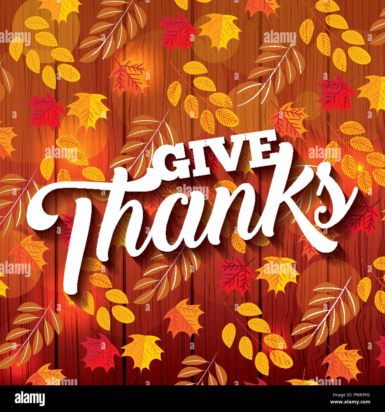 thanksgiving give thanks celebrate wheats leaves vector illustration ...