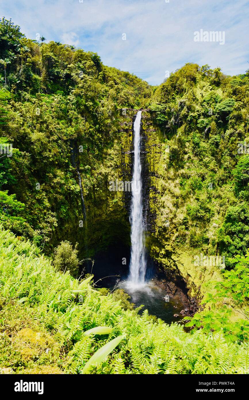 'Akaka Falls in 'Akaka Fall State Park Hawai'i Stock Photo - Alamy