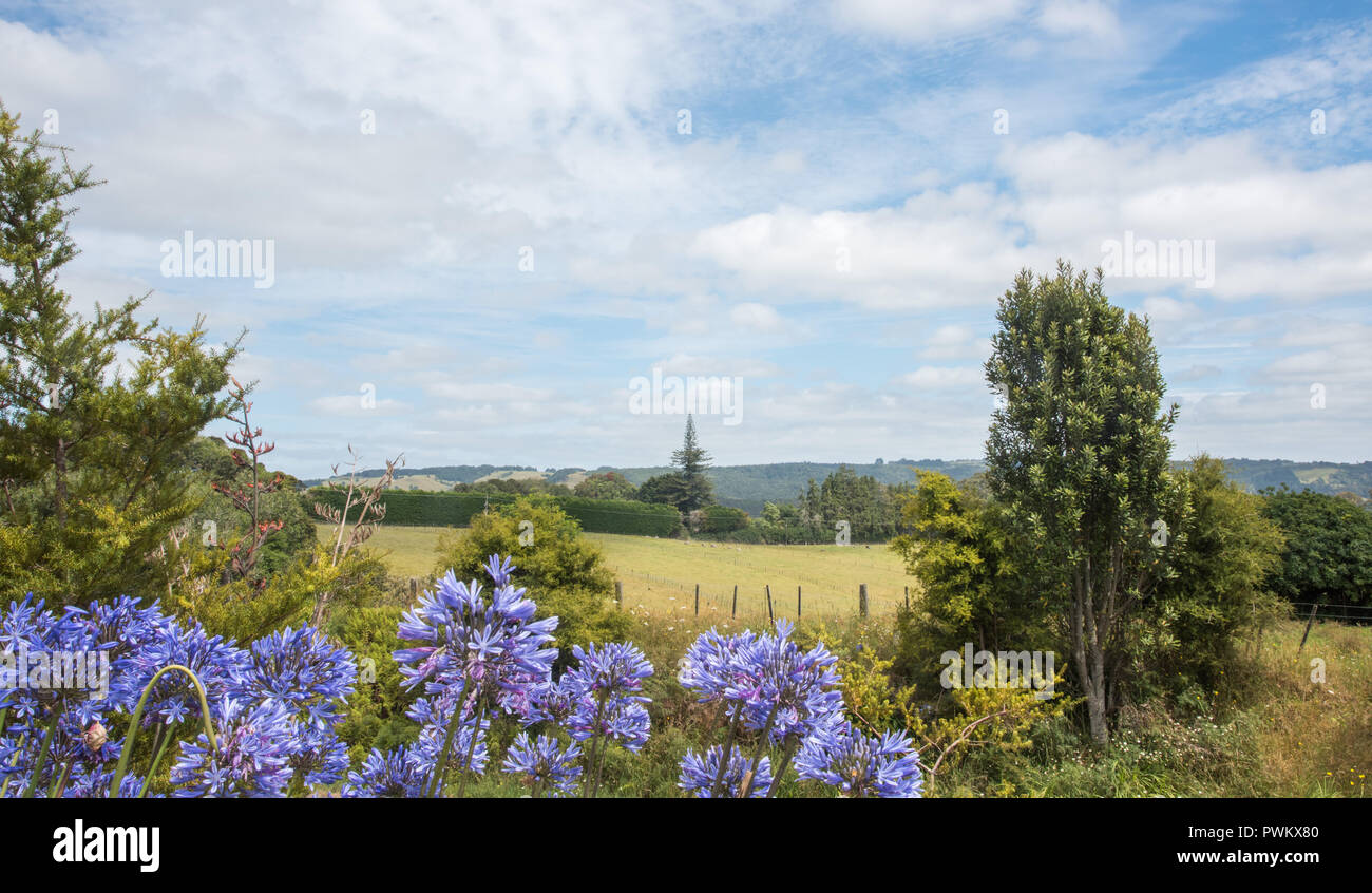 Tranquil rural scene with pasture, greenery and wildflowers under a ...